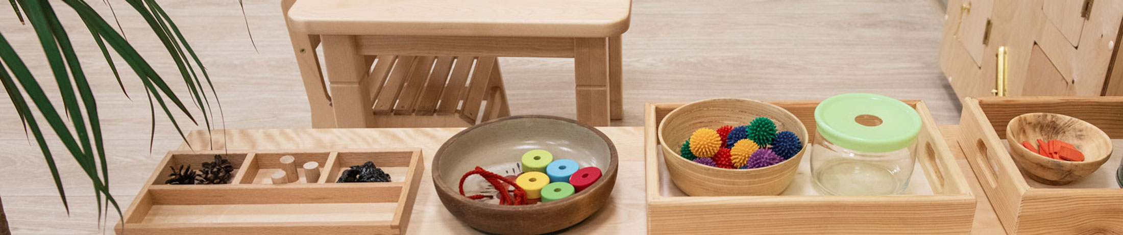 GrowingTree Early Education - KindyHub